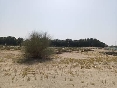 Al Ruwayyah - Dubai Land - Dubai Area Guide - PropertyDigger.com