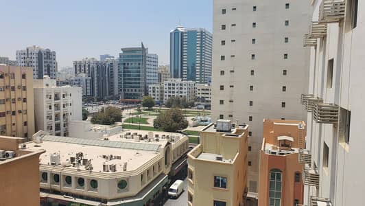 Properties for Rent in Rolla Area | Bayut.com