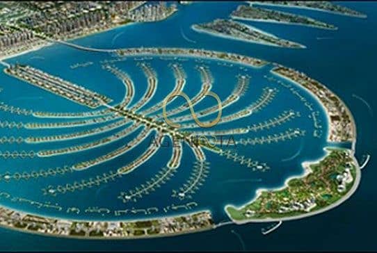 ارض سكنية في نخلة جبل علي 75000000 درهم - 7325781 | Bayut.com