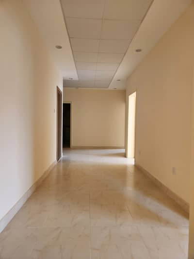 Apartments for Rent in Abu Shagara - Rent Flat in Abu Shagara | Bayut.com