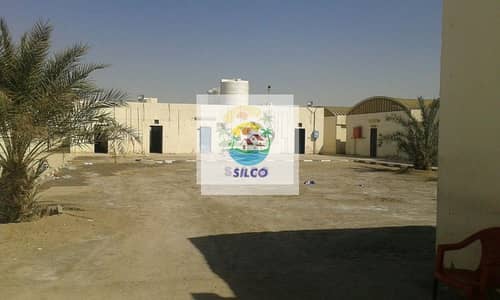 LABOUR CAMP IN ICAD MUSAFFAH | Bayut.com