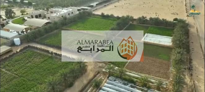 For sale farm in Zubair, a great location the area is 145,300 feet ...