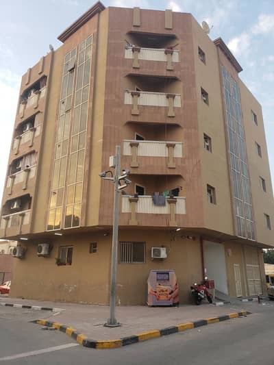 Building for sale, Ajman, large area, highly finished | Bayut.com