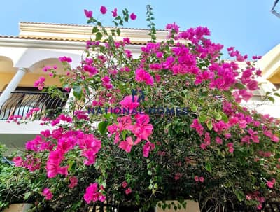 Properties for Sale in Fortunato, Jumeirah Village Circle (JVC) | Bayut.com