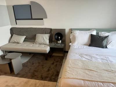 Classy Studio| Fully Furnished | Ready To Move | Bayut.com