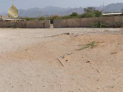 Two adjacent plots of land with excellent areas and price per shot ...