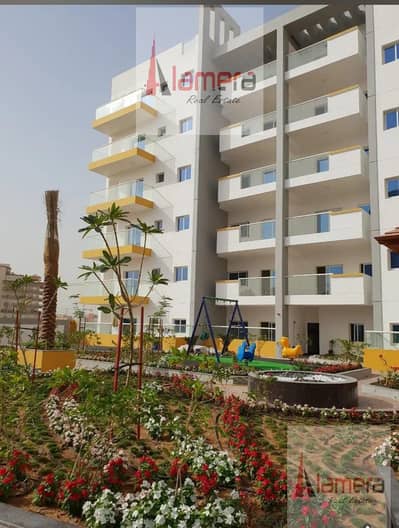 Studio Flat |Well Maintained Building |Large Studio| Ready to Move In ...