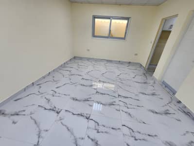 SPECIOUS STUDIO APARTMENT AVAILABLE WITH SEPARATE KITCHEN AWESOME WASHROOM IN MBZ CITY | Bayut.com