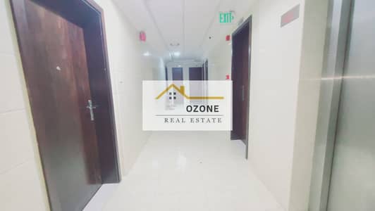 Brand new building with balcony ready to move with family residence ...