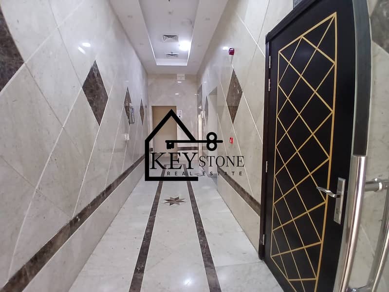Spacious 1BHK flat apartment in Al Butina area sharjah | Bayut.com