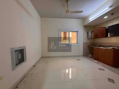 Spacious and Well-Maintained Studio Apartment with Private Washroom in ...