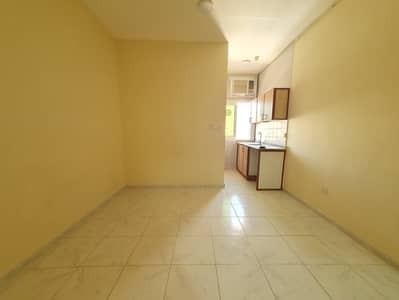 AMAZING BIG SIZE STUDIO WITH SEPARATE KITCHEN ON ROAD BUILDING IN ...