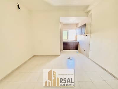 Lavish Studio Apartment With Separate Kitchen | Bayut.com