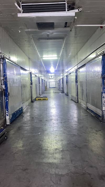 Warehouses for Rent with Cold Storage in Dubai | Bayut.com