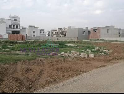 Prime Corner Residential Plot for Sale in Reeman 1 | Bayut.com