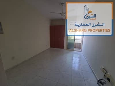 The most beautiful studio for annual rent, a bright studio with a ...