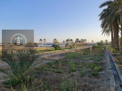 Farm for Sale in Al-Siji, Fujairah (Masafi Area) 🌿 | Bayut.com