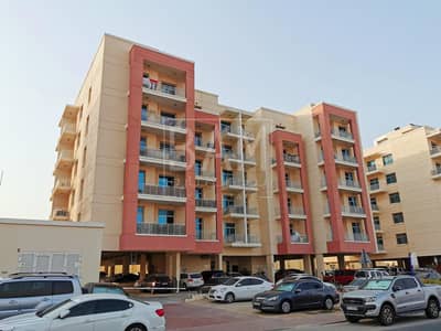 Apartments for Rent in Liwan - Rent Flat in Liwan | Bayut.com