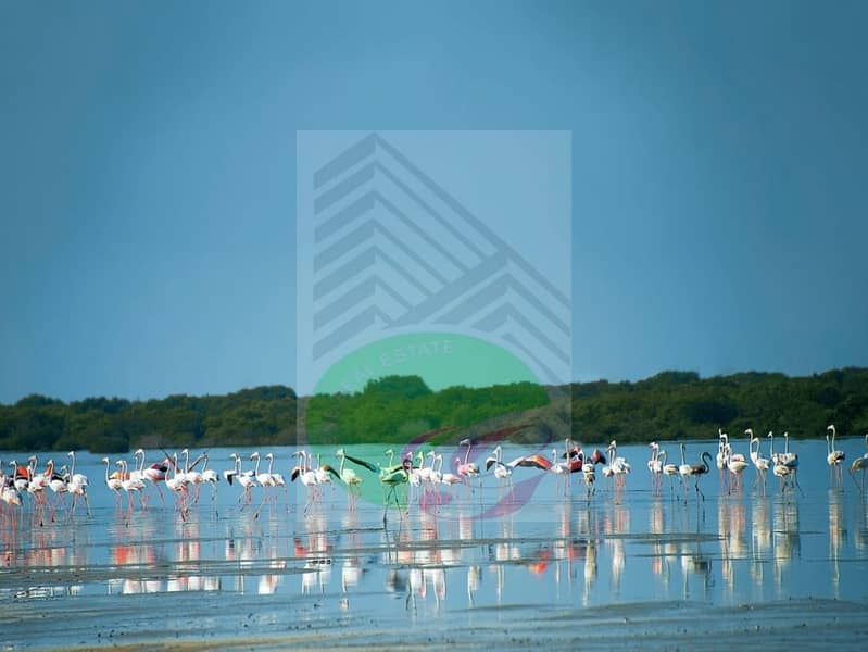 Premium Triple-View Plot in Seaside residence, Al Zorah | Bayut.com