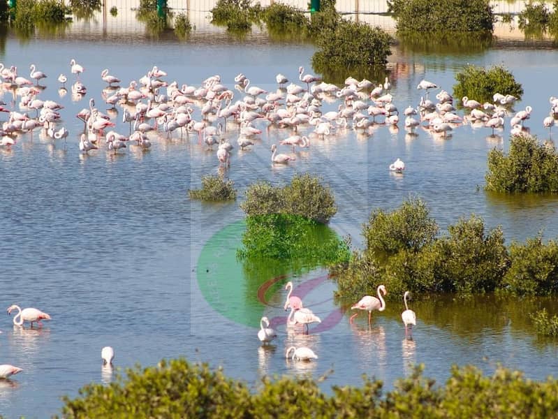 Luxury Sea Front Apartment in Al Zorah City, Ajman | Bayut.com