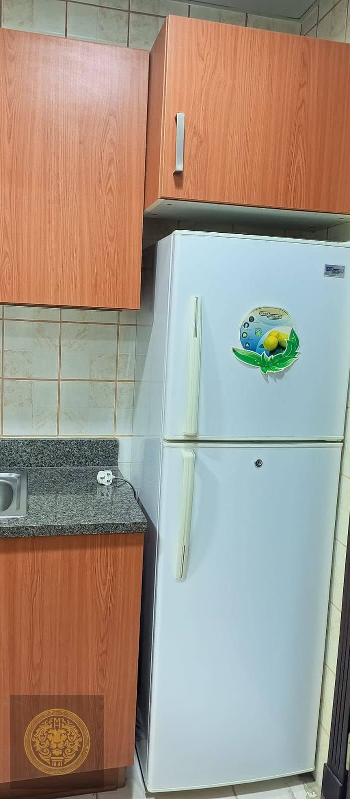 Spacious Ritaj K: Affordable Urban Living with Modern Amenities | Bayut.com