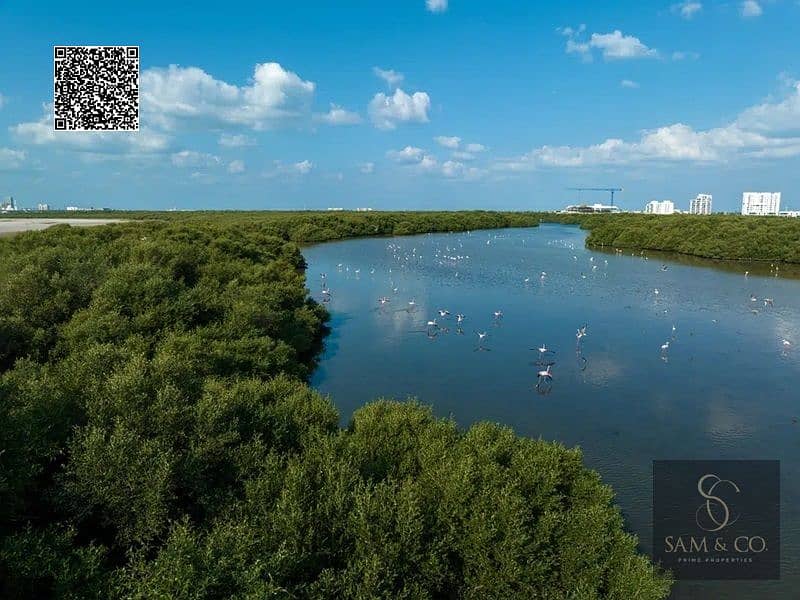 Premium Building Plot – The Greens, Al Zorah, Ajman (Plot 2) | Bayut.com