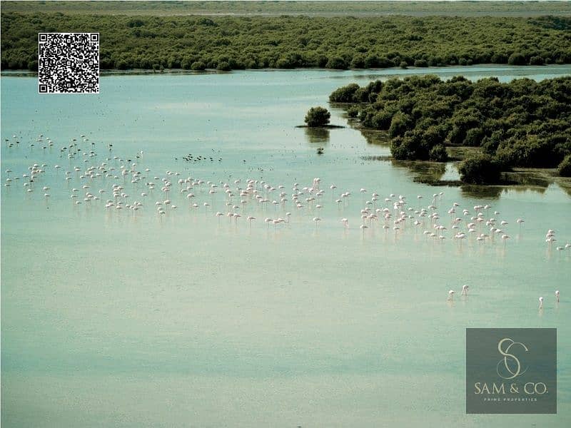 Exclusive Development Plot – The Greens, Al Zorah (Plot 11) | Bayut.com