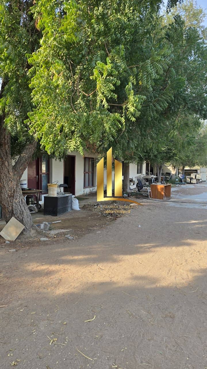 For sale: Two farms in sharjah al zid | Bayut.com