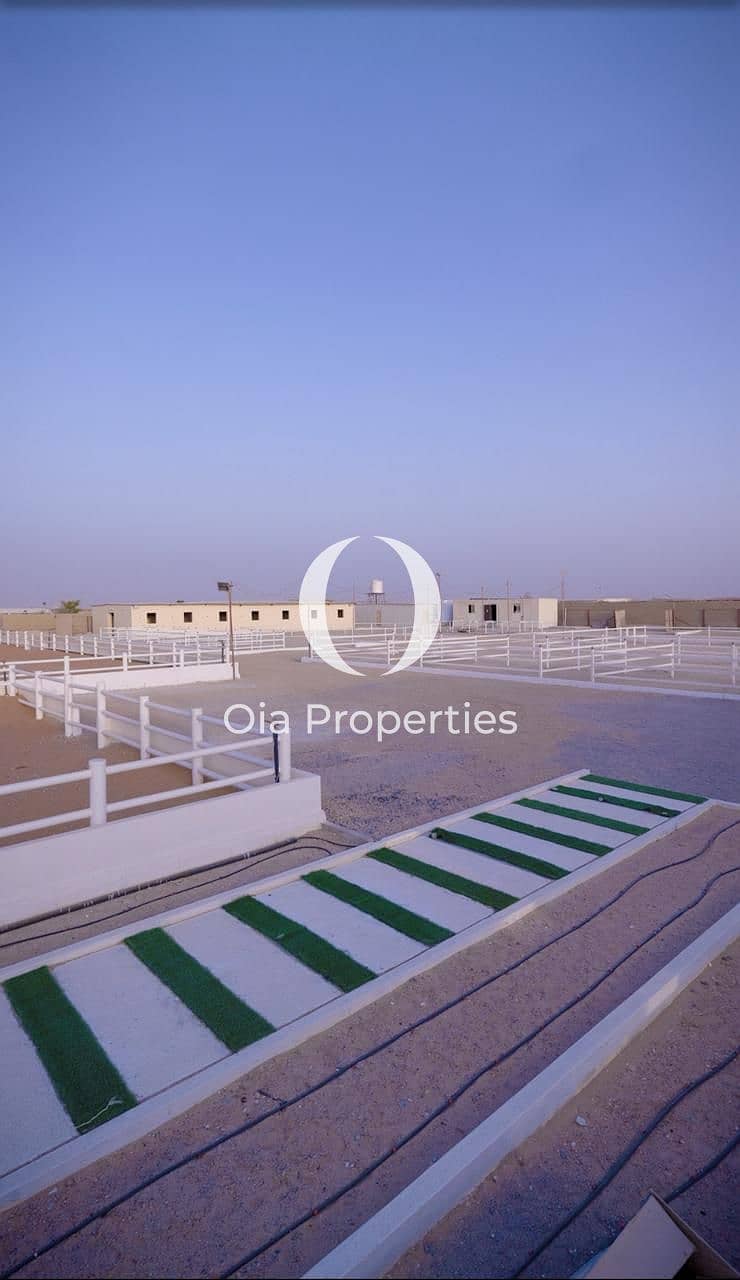 Brand New | Never Used | VIP Stable for Sale | Bayut.com