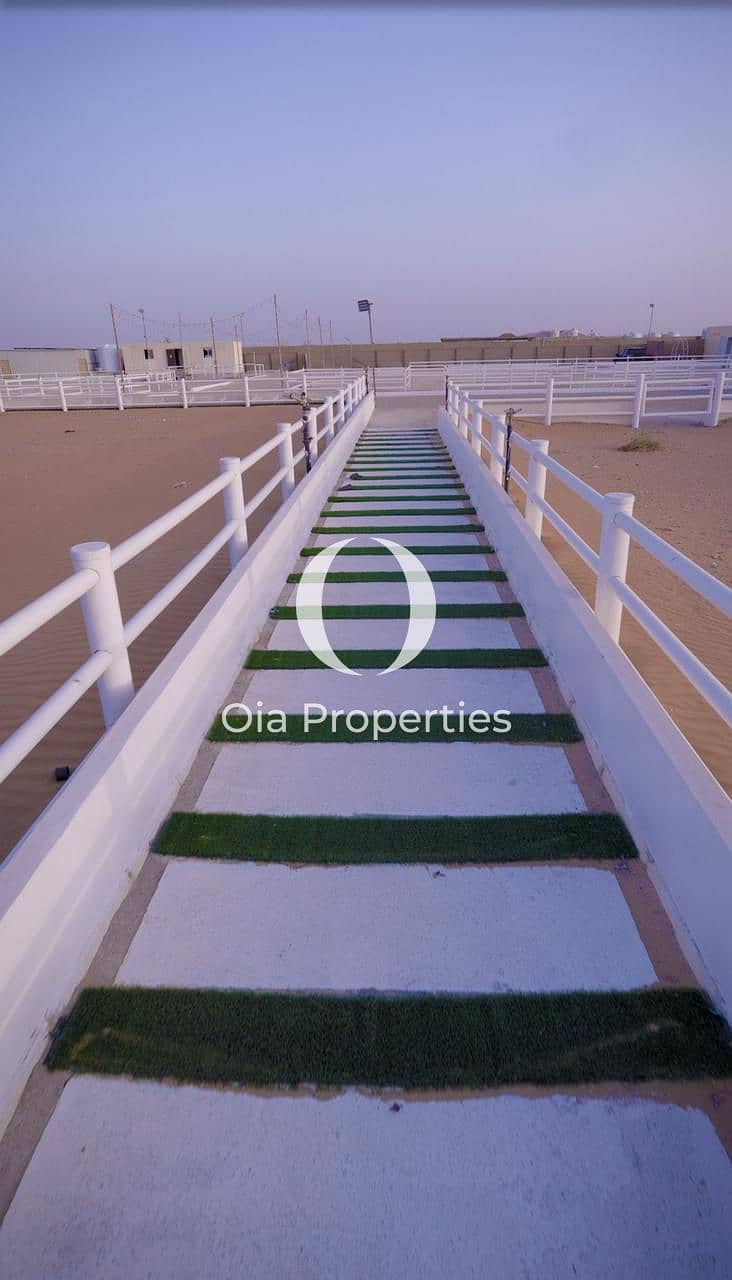 Brand New | Never Used | VIP Stable for Sale | Bayut.com