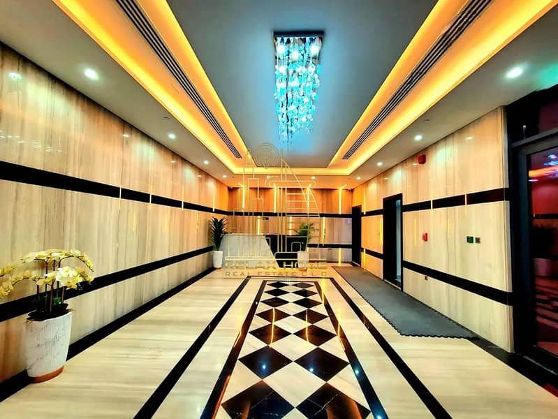 Modern 1BHK | Amazing Layout | Hot Offer | Book Now | Bayut.com