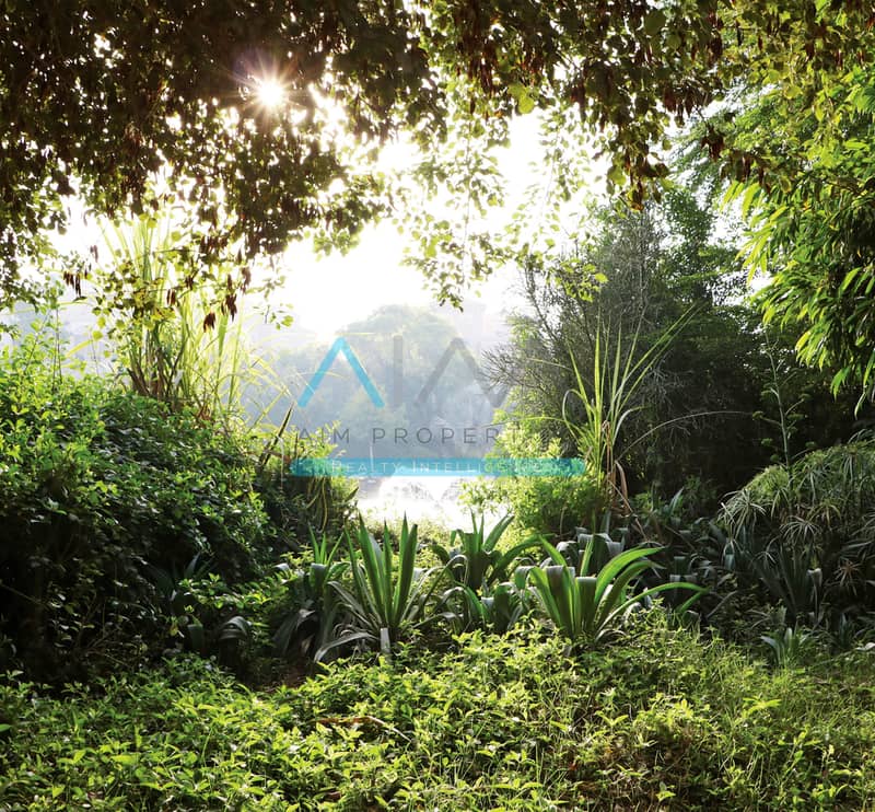 5BR LAGOON FRONT INDEPENDENT VILLA LUXURY FRENCH MODERN DESIGN | Bayut.com